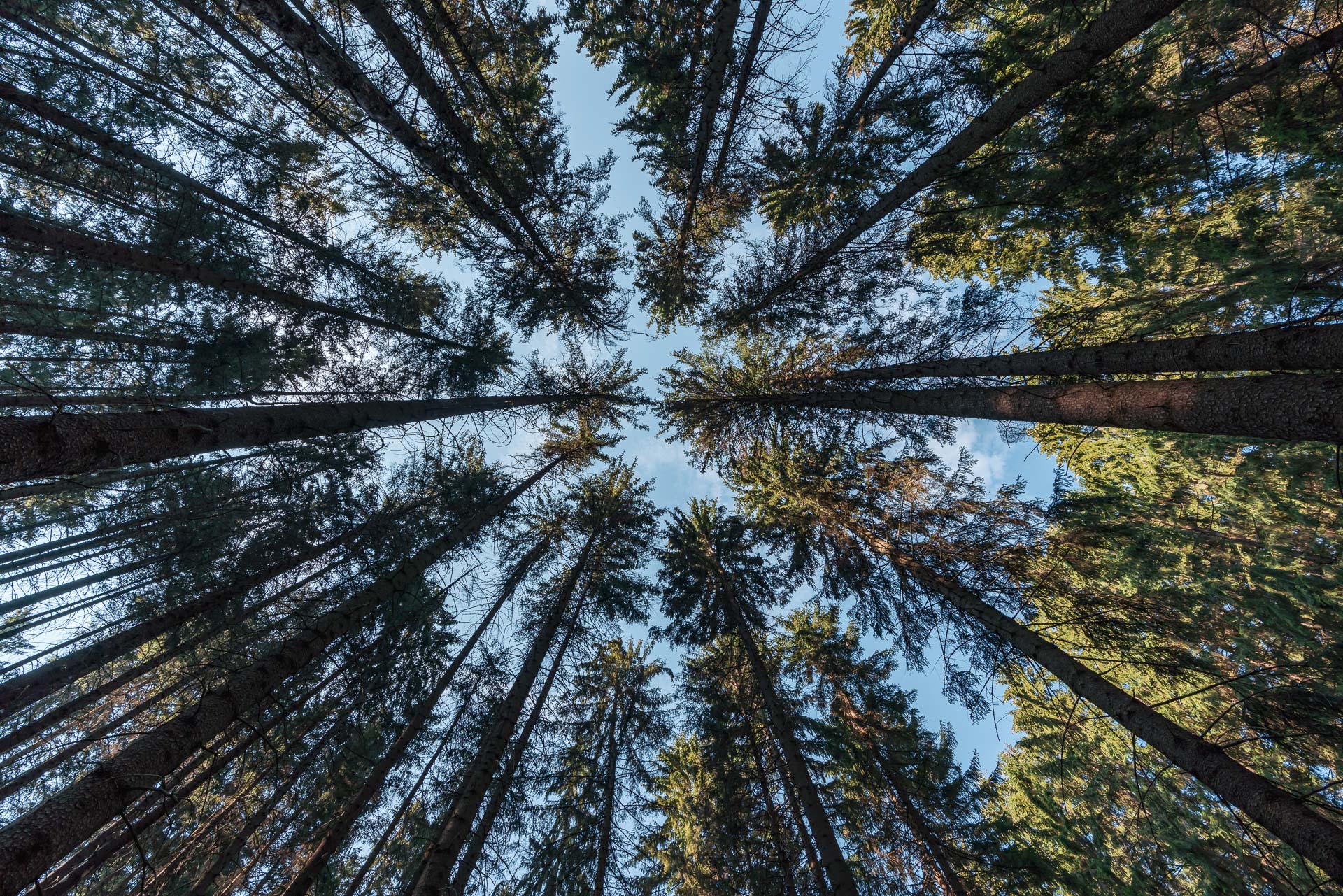 Czeska Szwajcaria - 4 przykładowe trasy - Migawki ze świata